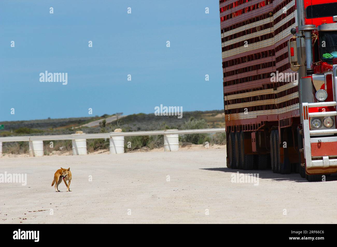 Cattle truck australia hi-res stock photography and images - Alamy
