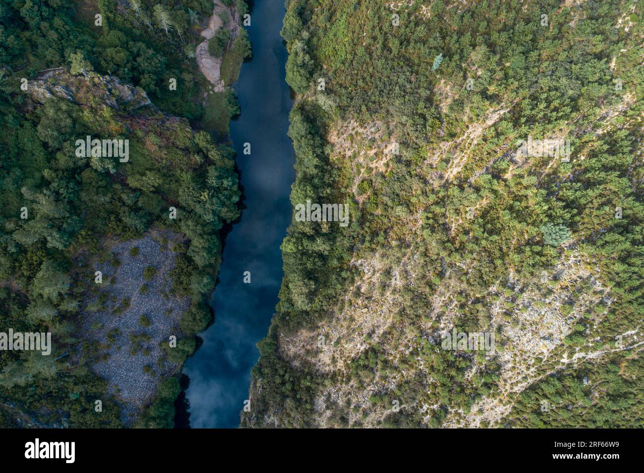 Aerial top down extreme forest hi-res stock photography and images - Alamy