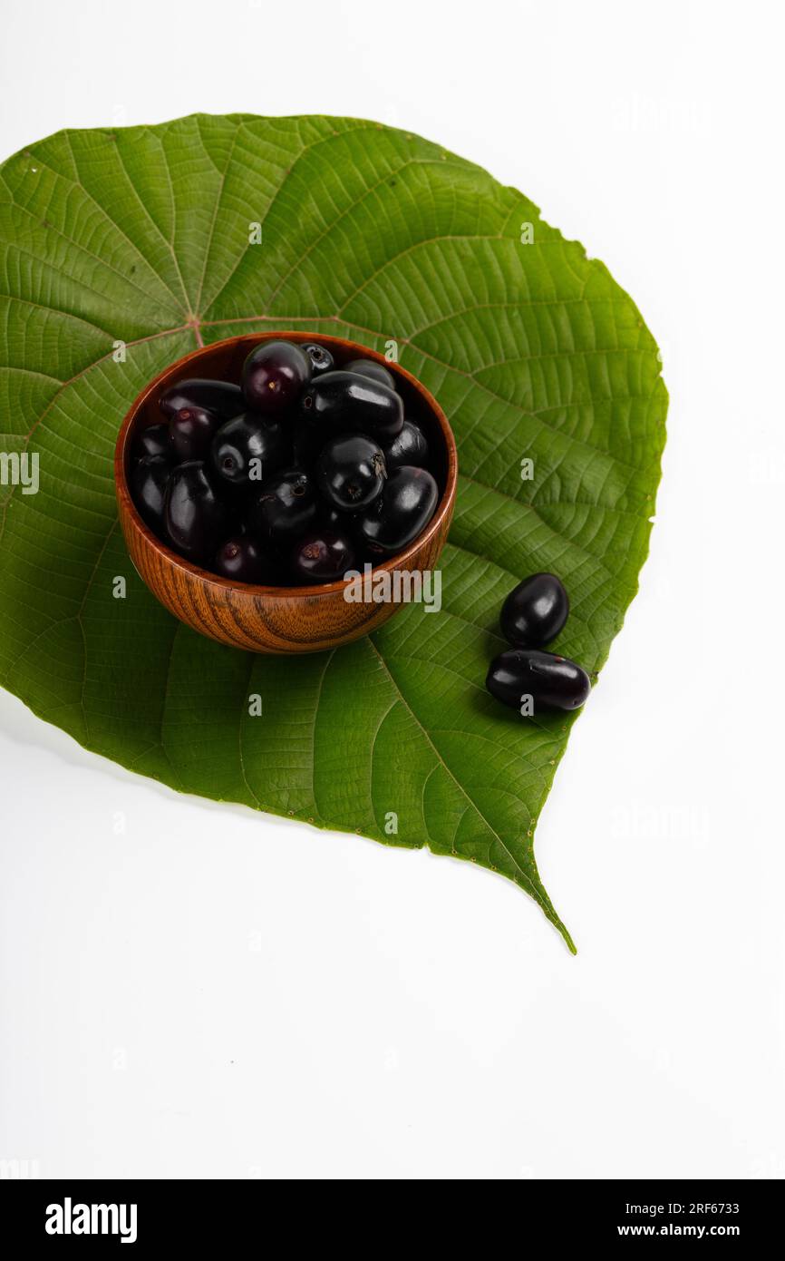 Java Plum or Indian Blackberry, isolated image with white background ...