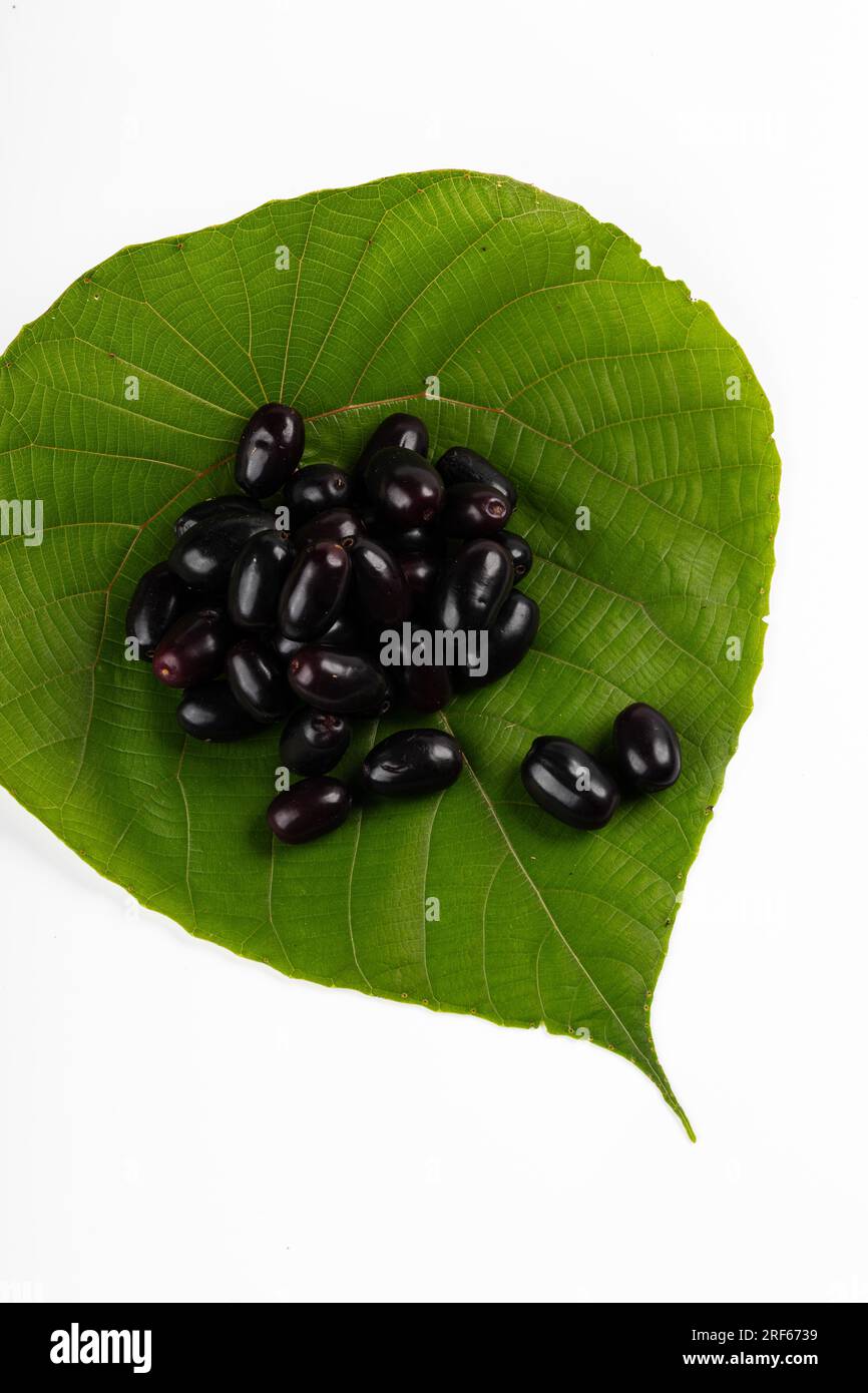Java Plum or Indian Blackberry,isolated image with white background ...