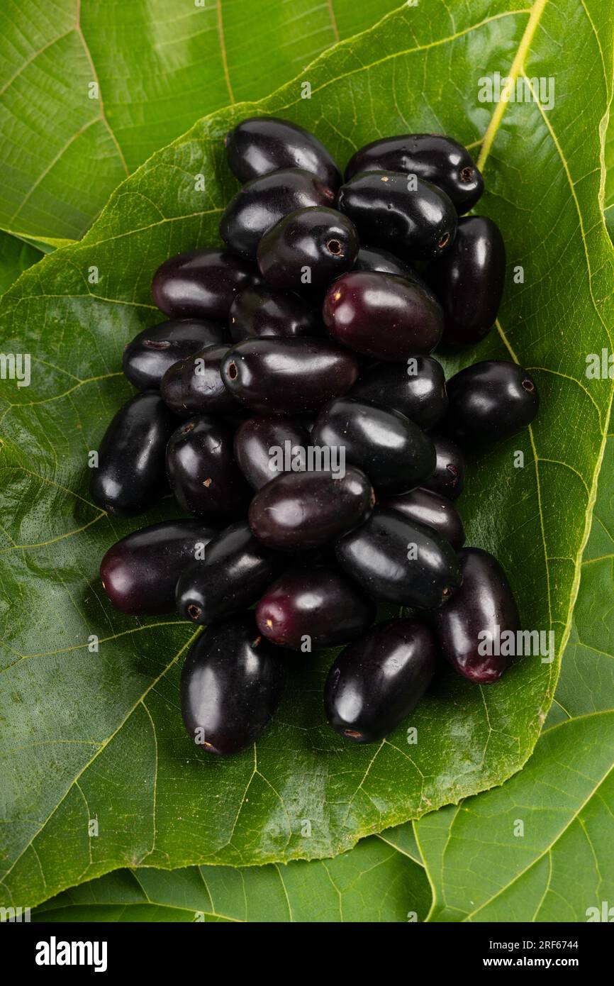Java Plum or Indian Blackberry,isolated image with white background ...
