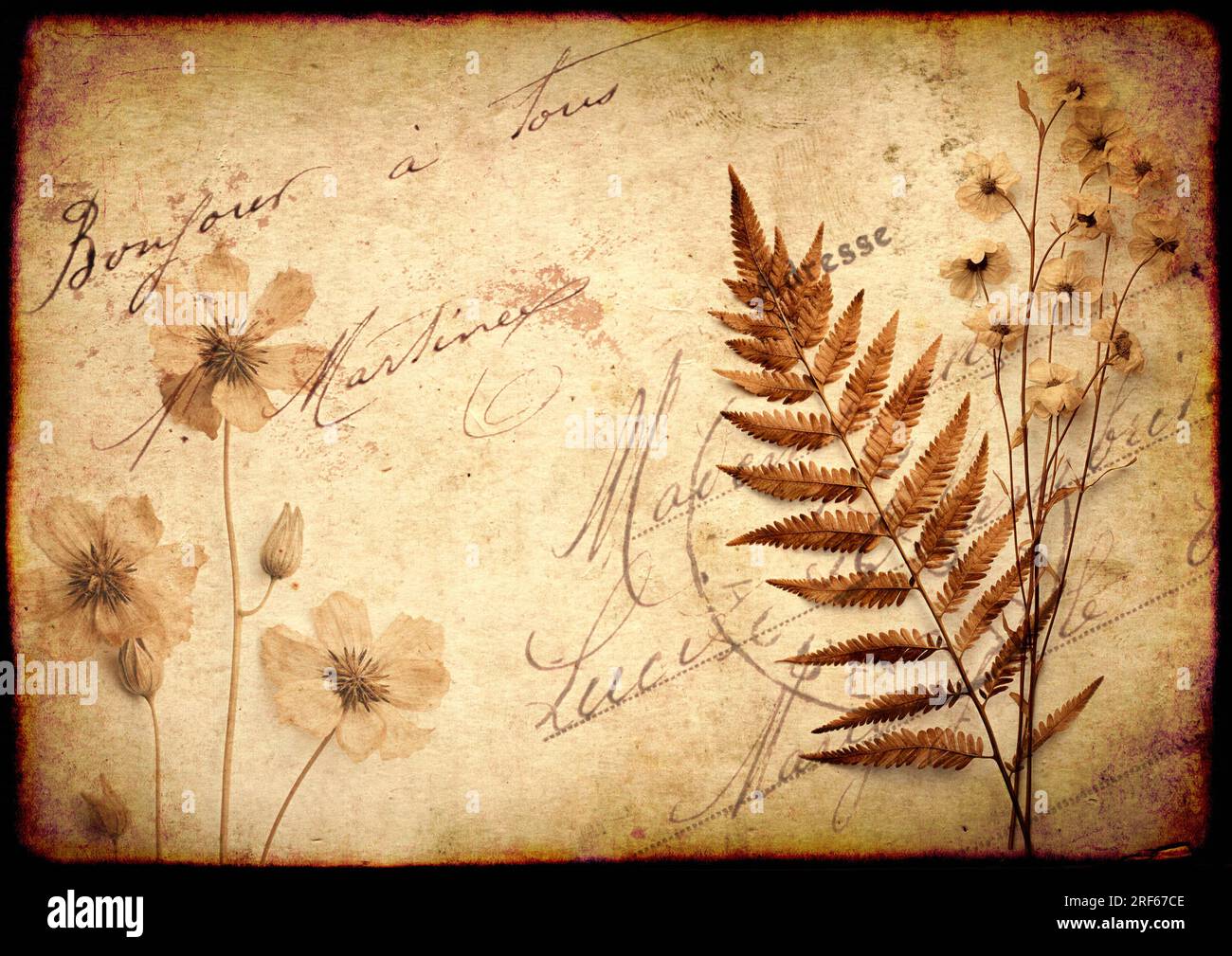 Retro background with dry pressed leaves and flowers on paper texture ...