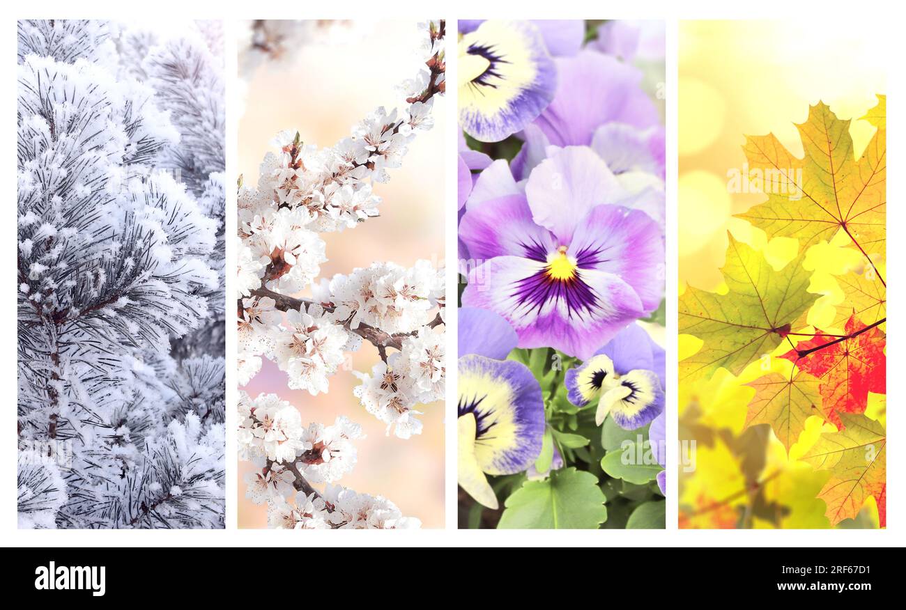 Four seasons of year. Set of vertical nature banners with winter ...