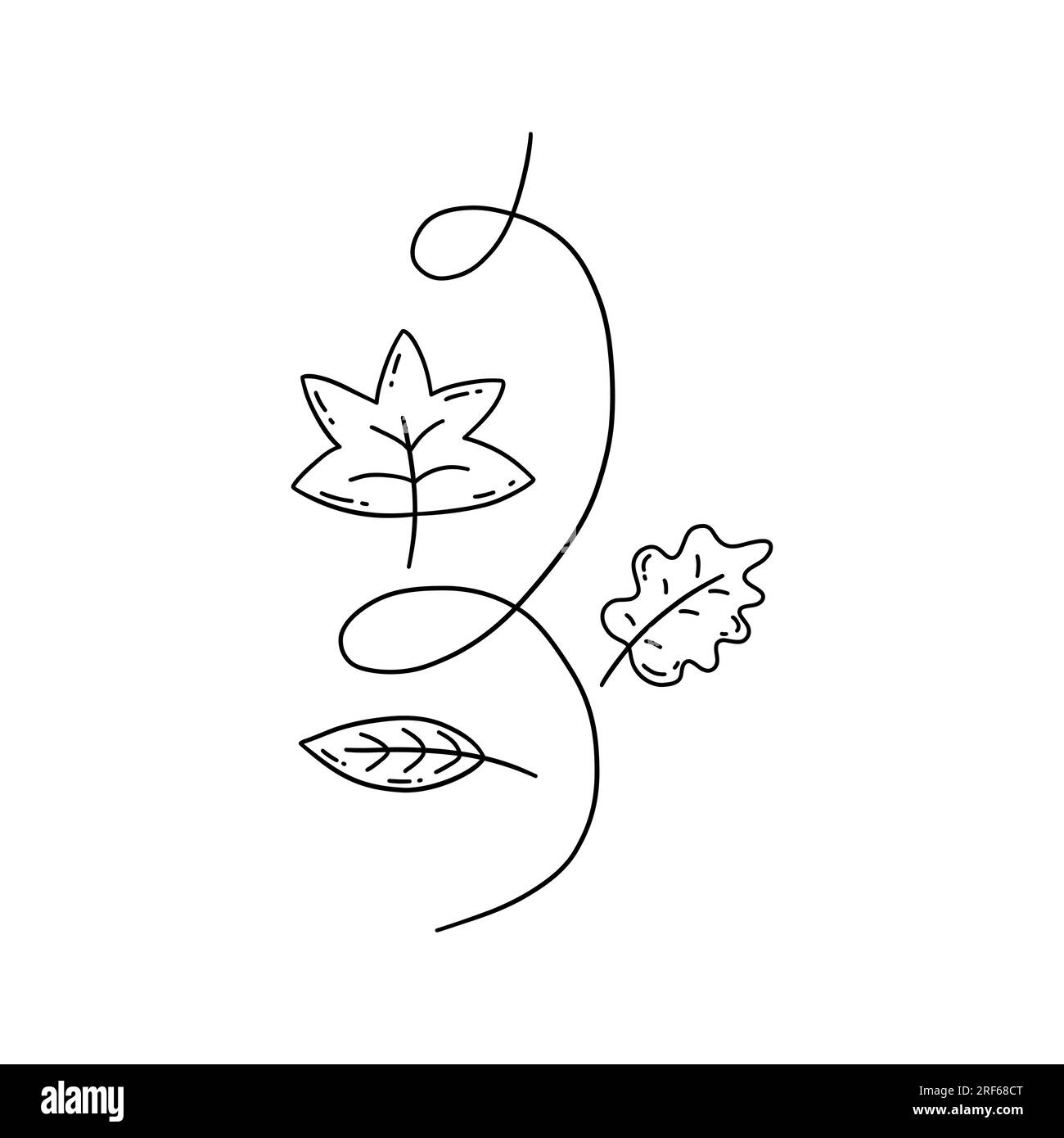 Autumn leaves swirl in the wind. Change of season. Black and white ...