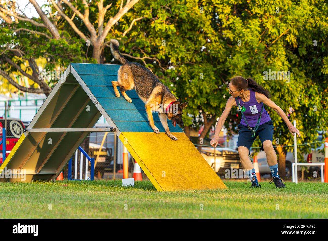 ROYAL DARWIN SHOW, NT AUSTRALIA - 29 JUL 2023: Dog agility competition ...