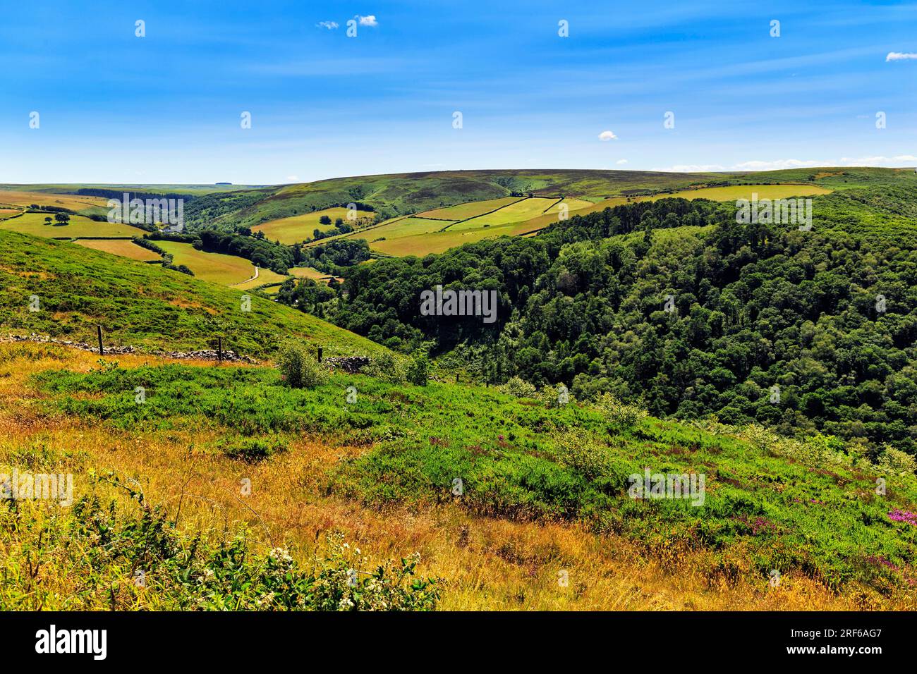 Plateau with valleys and fields, typical landscape in Exmoor National ...