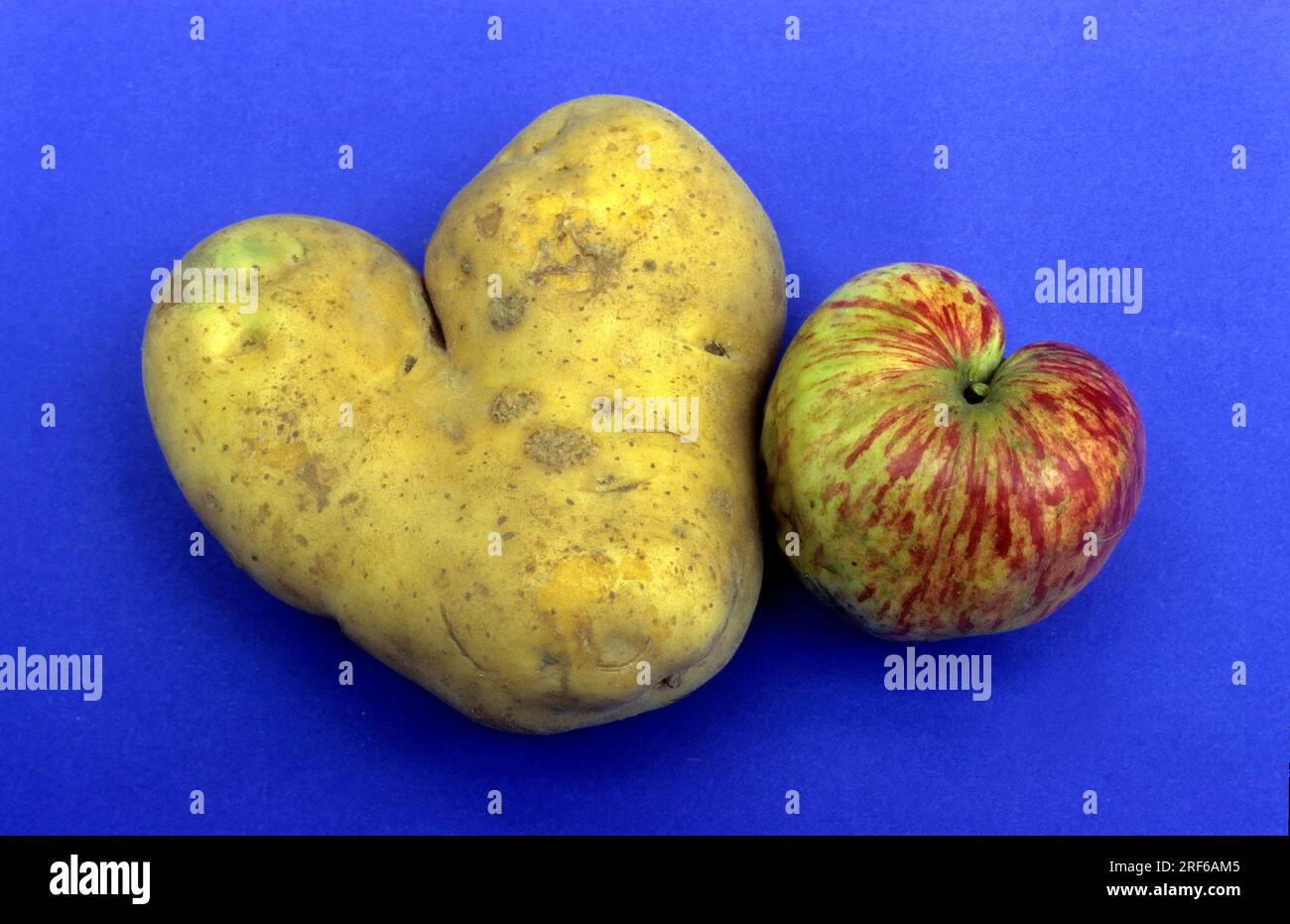 Heart-shaped potato and apple Stock Photo - Alamy