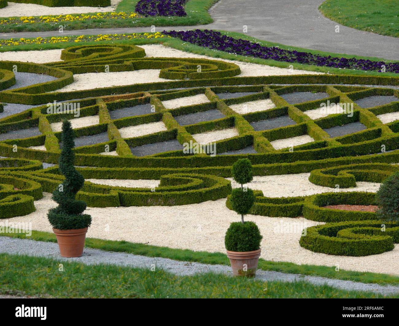 Bluehendes Barock Ludwigsburg in spring, BW.-D. boxwood cut into shape ...