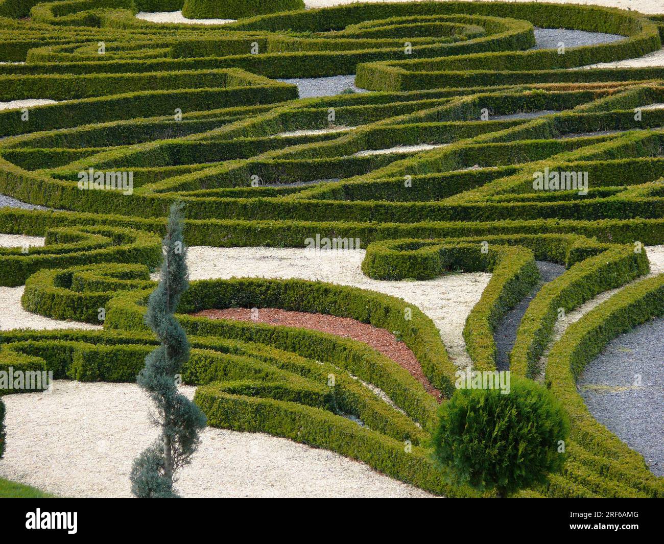 Bluehendes Barock Ludwigsburg in spring, BW.-D. boxwood cut into shape ...