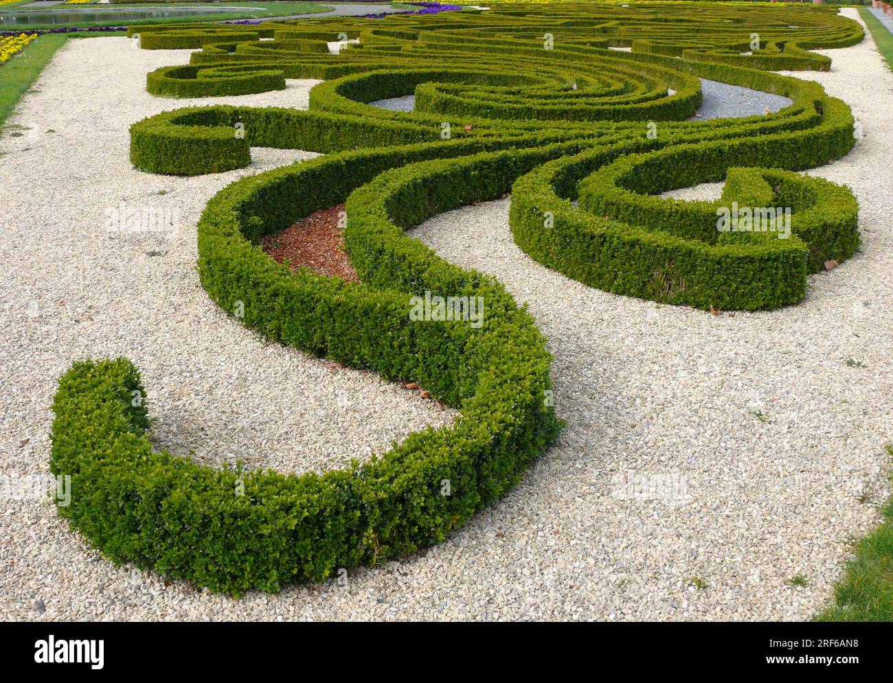 Bluehendes Barock Ludwigsburg in spring, BW.-D. boxwood cut into shape ...
