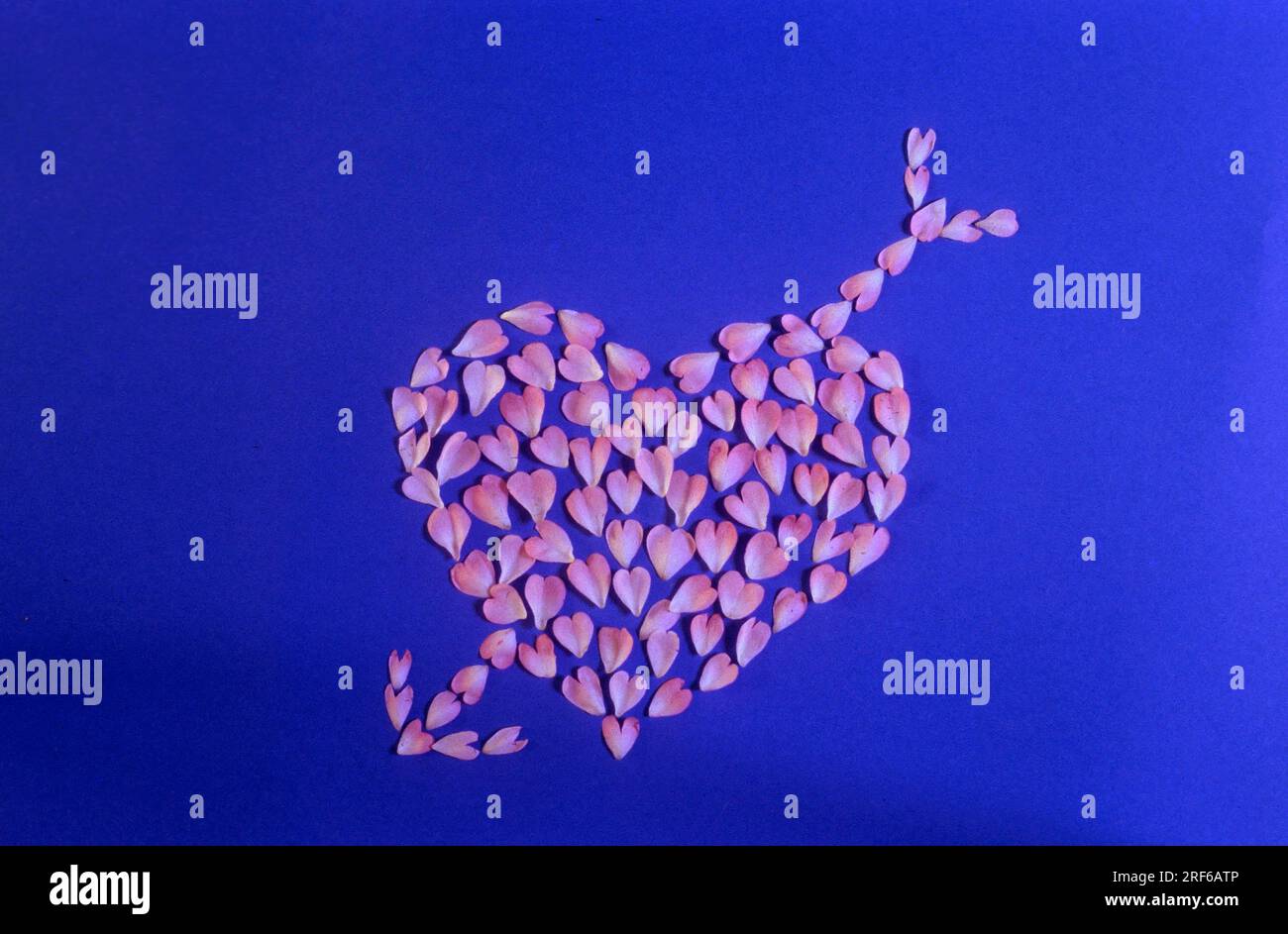 Heart made of many small hearts pierced with Cupid's arrow Tearing ...