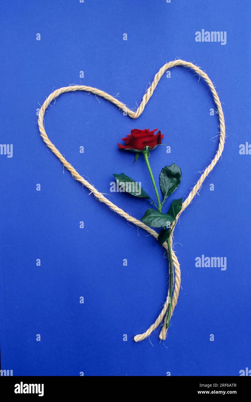 Sale red heart flower hi-res stock photography and images - Alamy