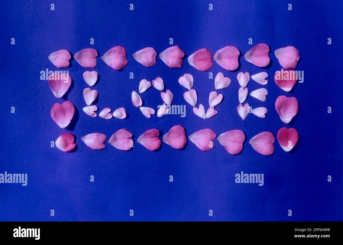 Love with Petals, Tearing Heart, bleeding-heart (Dicentra), Bleeding ...