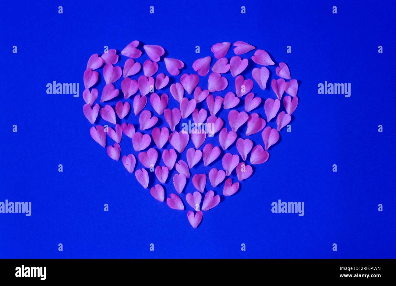 Heart of Many Little Hearts, Tearing Heart, Tearing Heart, bleeding ...