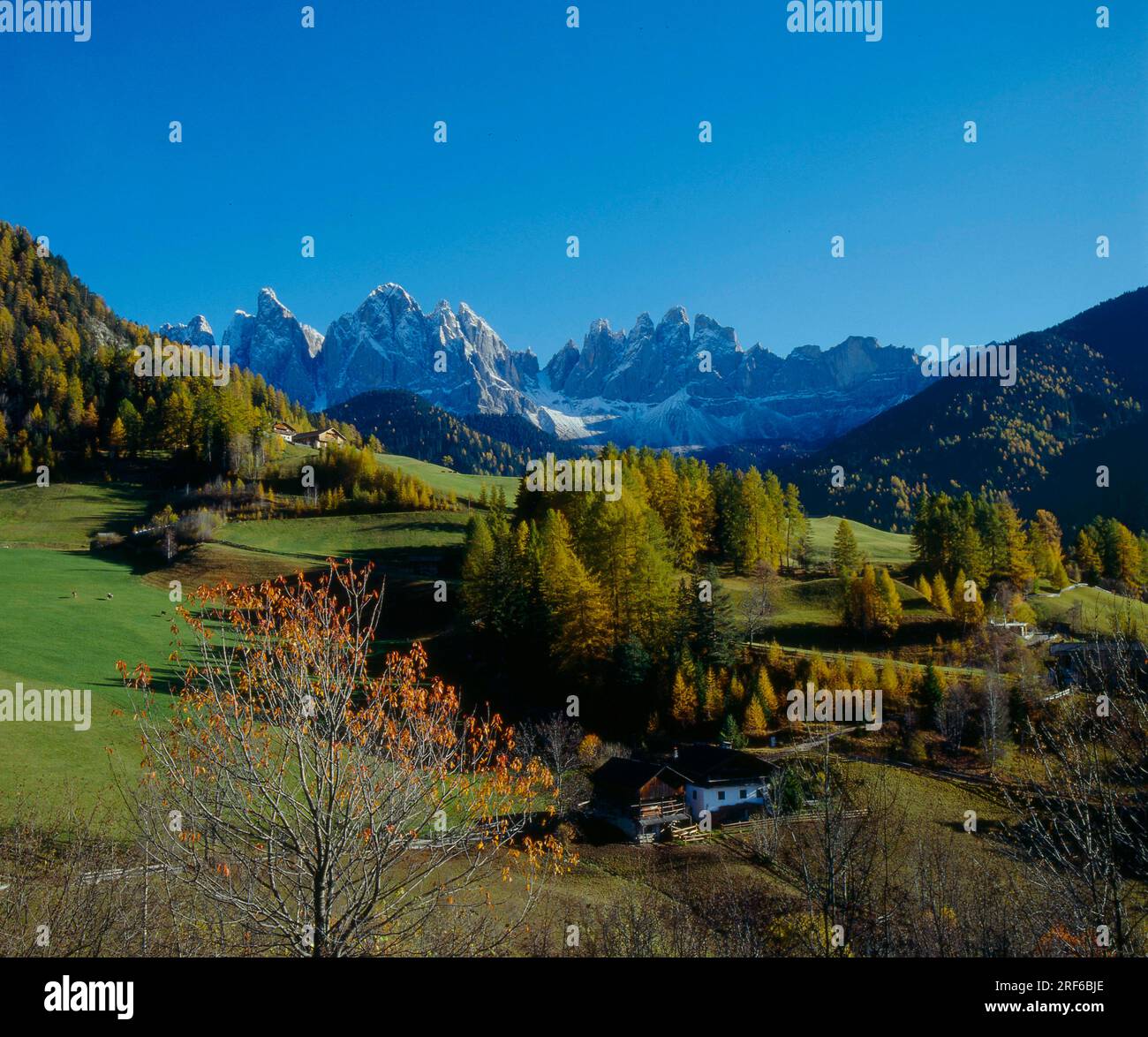 Autumn in St. Magdalena in the Villnoess Valley, above the Geisler ...