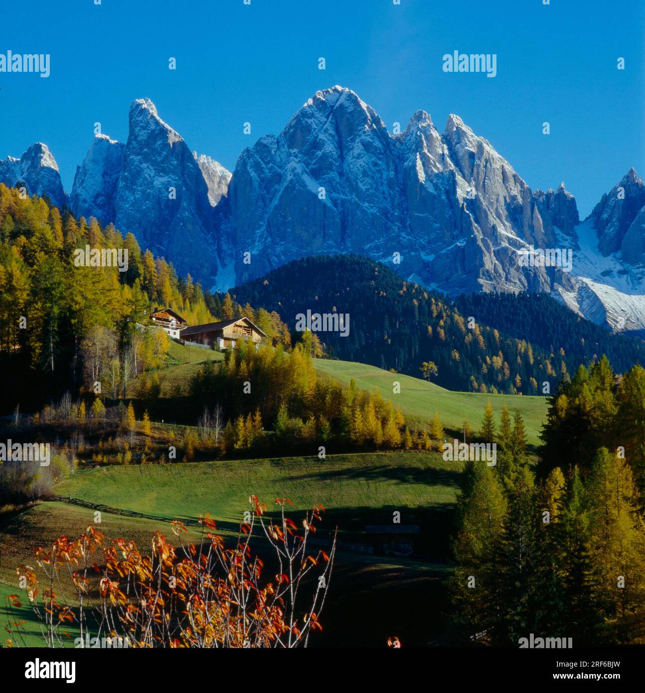 Autumn in St. Magdalena in the Villnoess Valley, above the Geisler ...