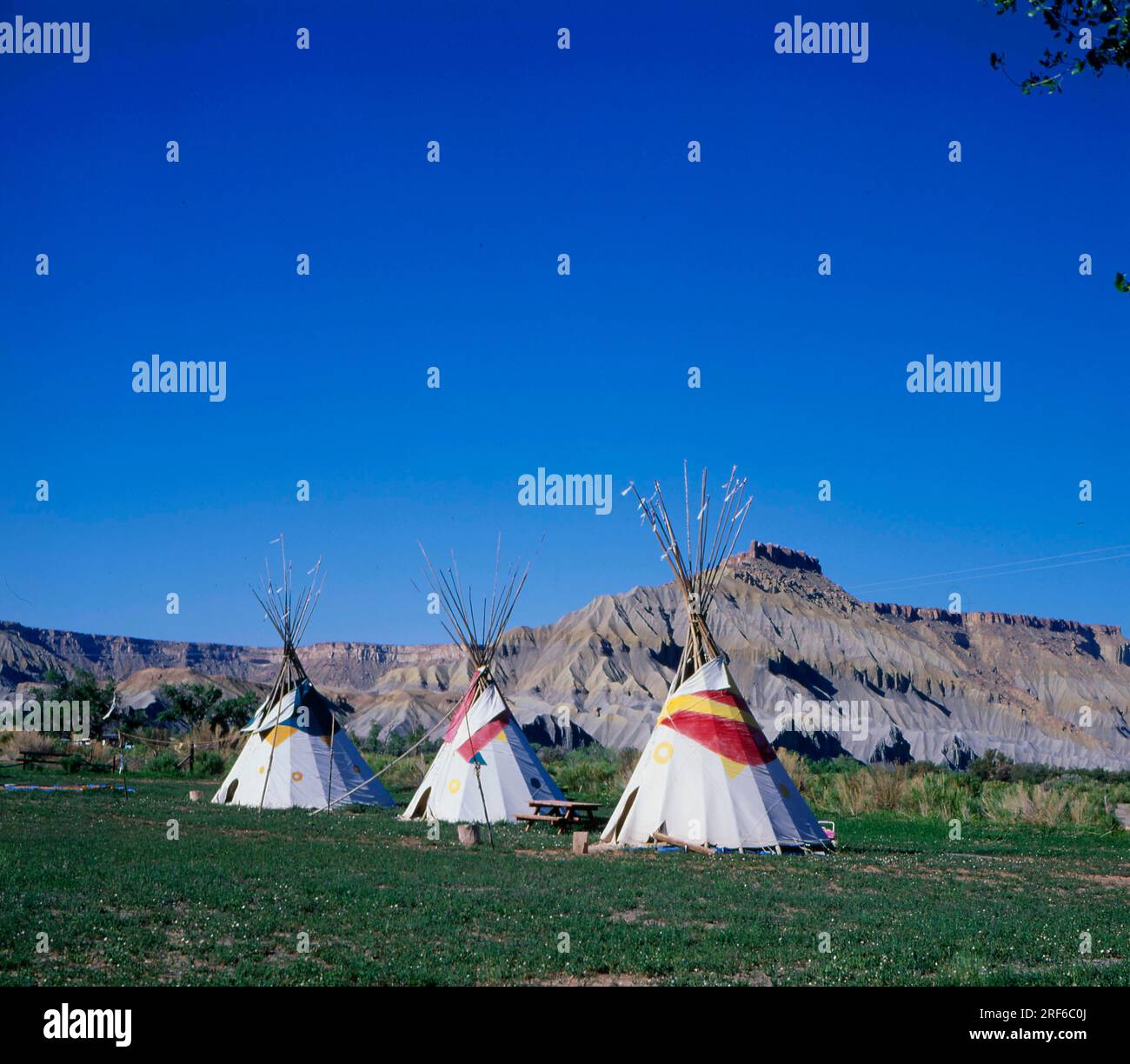 Native wayne hi-res stock photography and images - Alamy