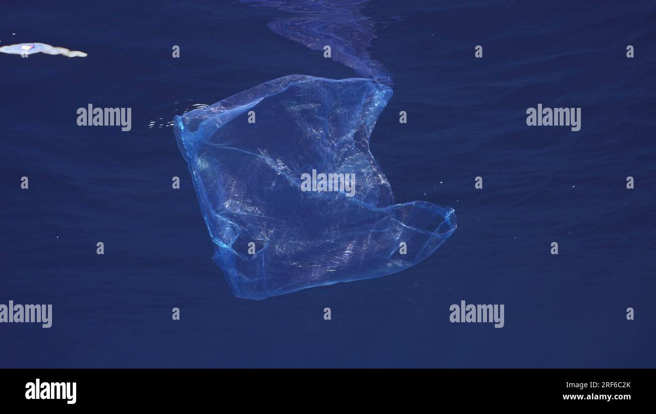 Red Sea, Egypt. 17th June, 2023. Disposable blue plastic bag floats ...