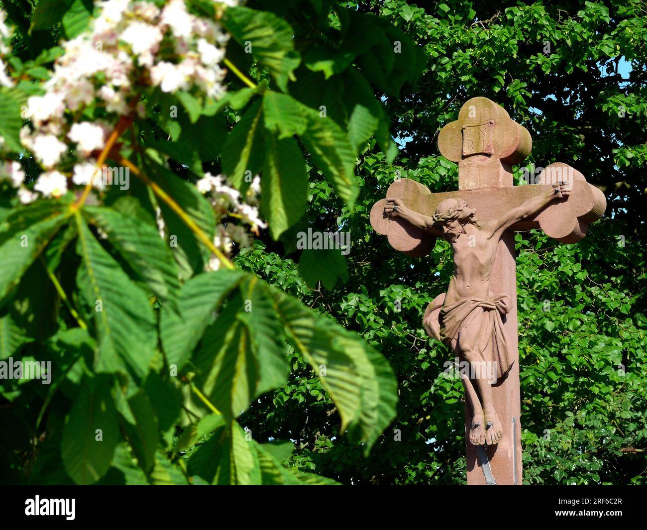 Crucifix next to Horse Chestnut in flower, Common Horse Chestnut ...