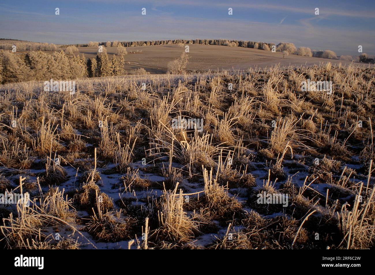 Hoarfrost, landscape in the Swabian Alb, Baden-Wuerttemberg, Germany ...