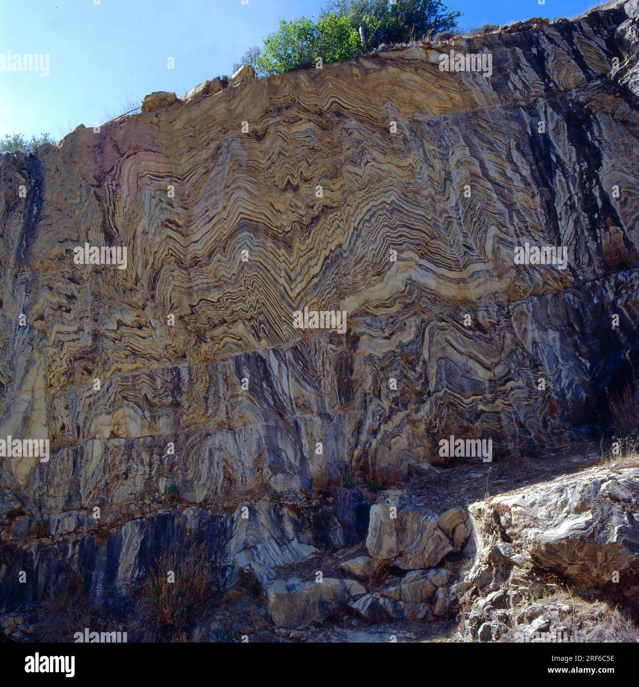 Rock patterns in the Sequoia National Forest. USA-California, USA Stock ...