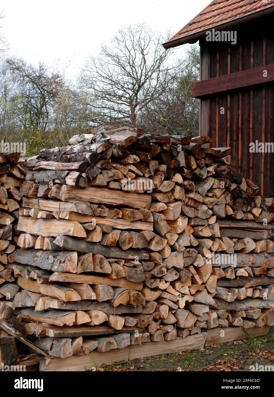 Wood pile at the edge of the forest Firewood, wood store Stock Photo ...