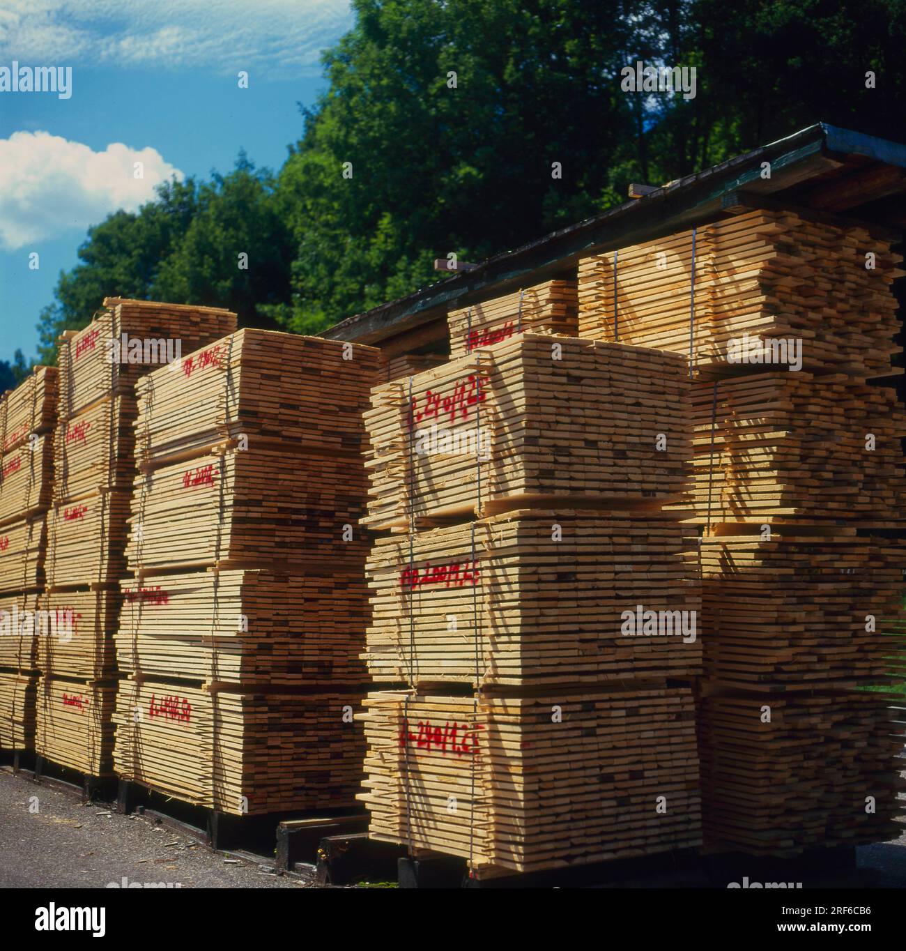 Timber store in the sawmill Stock Photo - Alamy