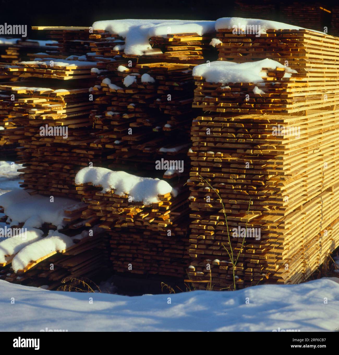 Timber store in the sawmill Stock Photo - Alamy