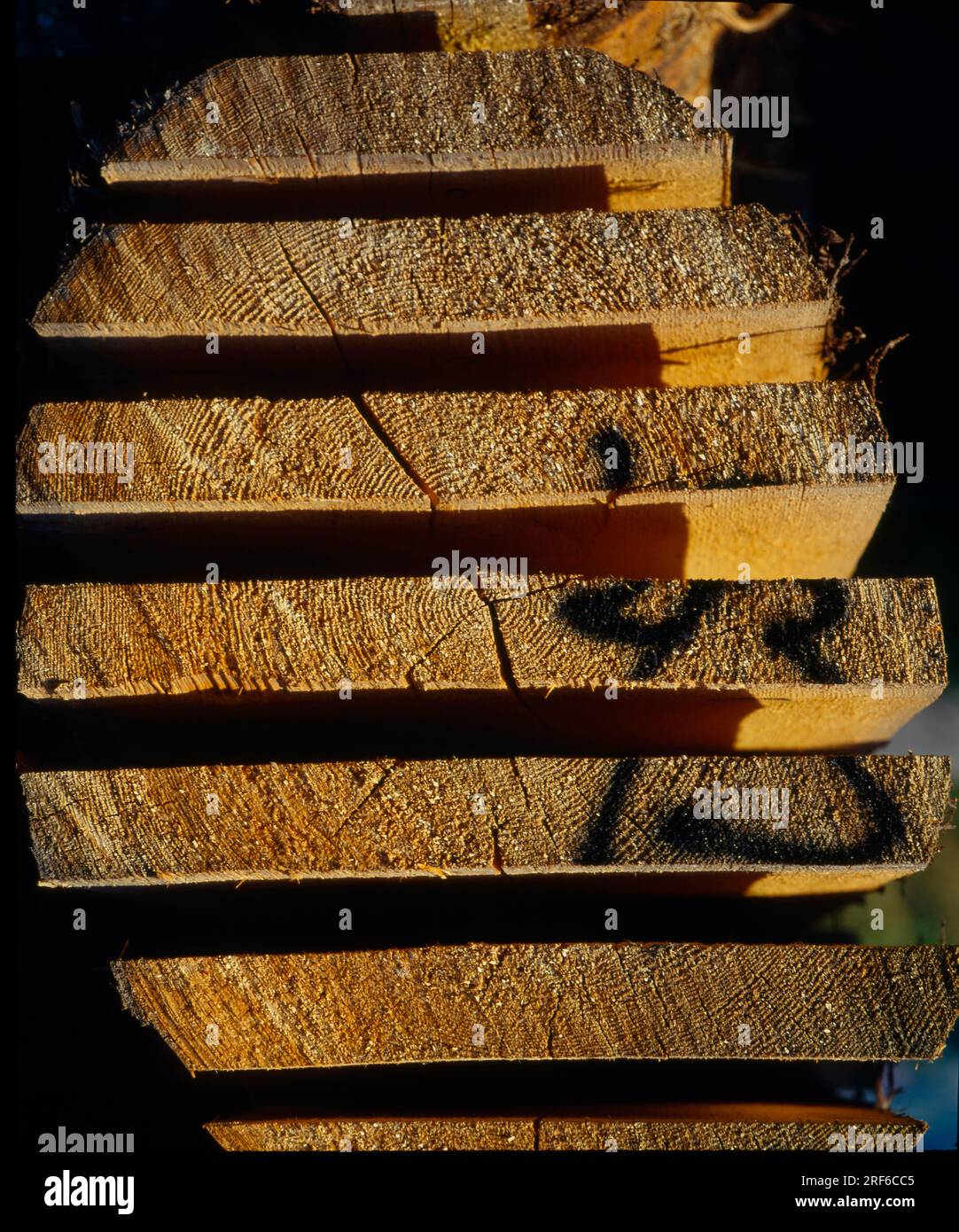 Stack of boards, cut tree trunk, cross-section Stock Photo - Alamy
