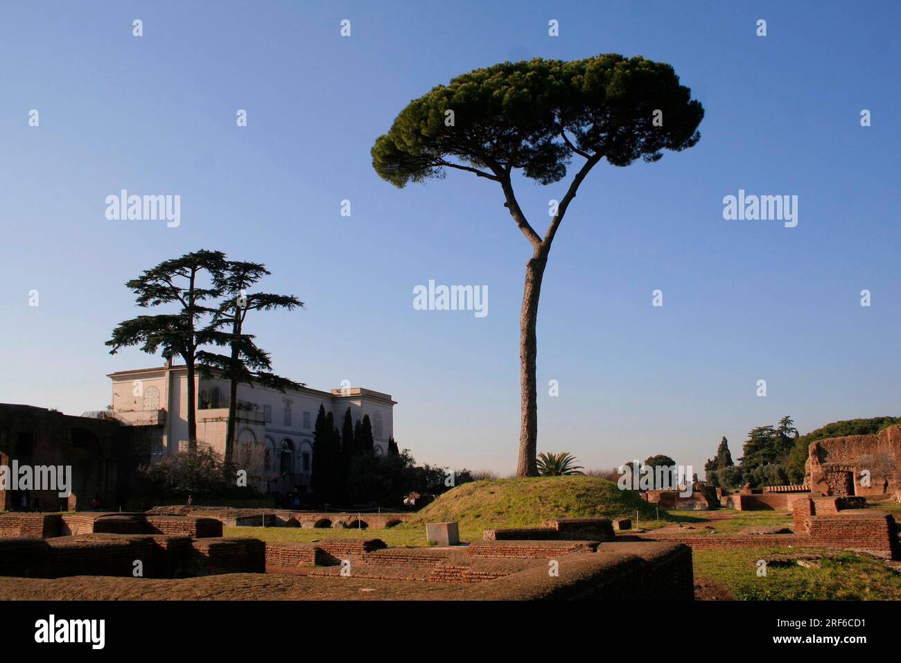 Palatinum rome hi-res stock photography and images - Alamy