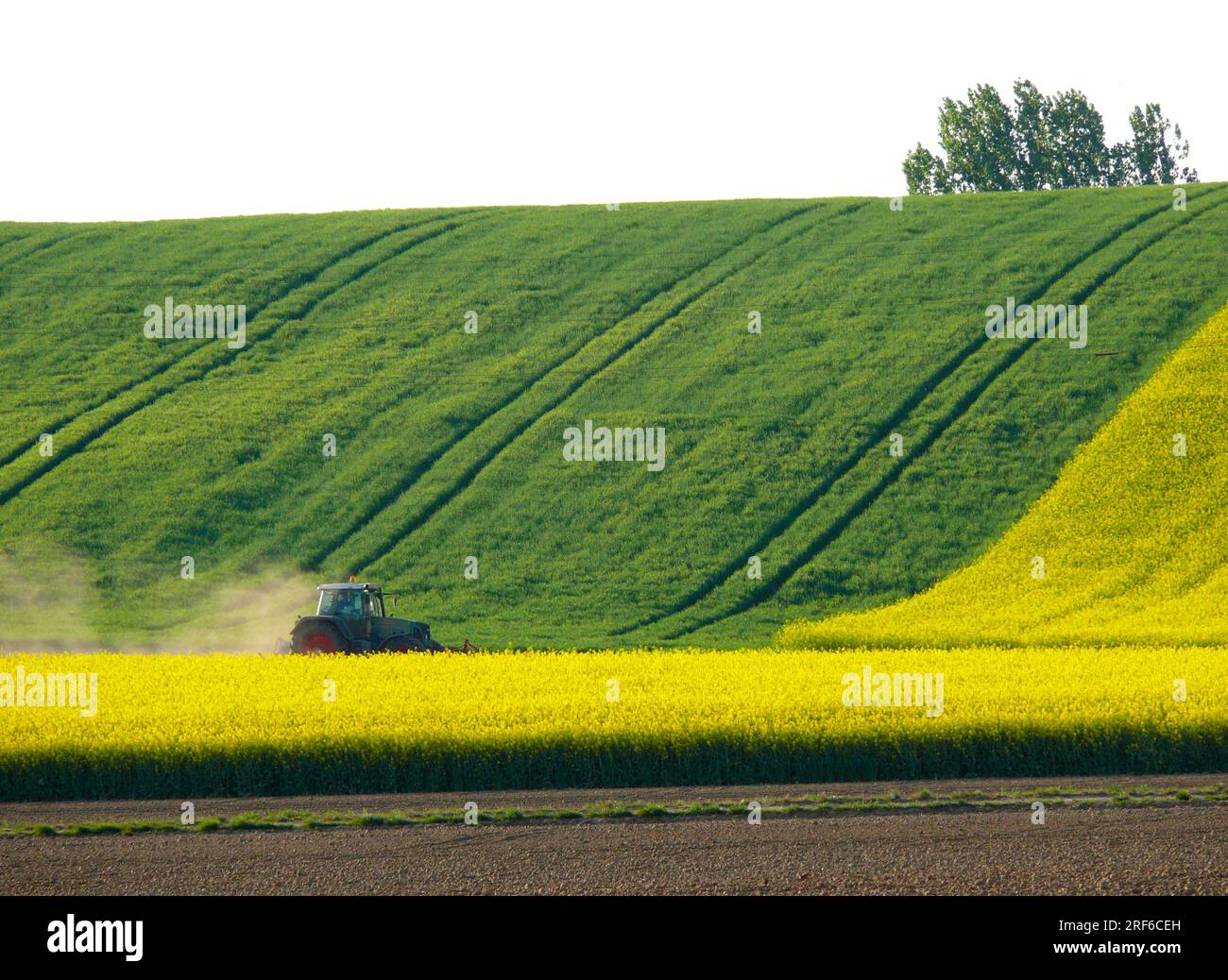 Tractor working in the field, dust, fields in spring, Kraichgau, Baden ...