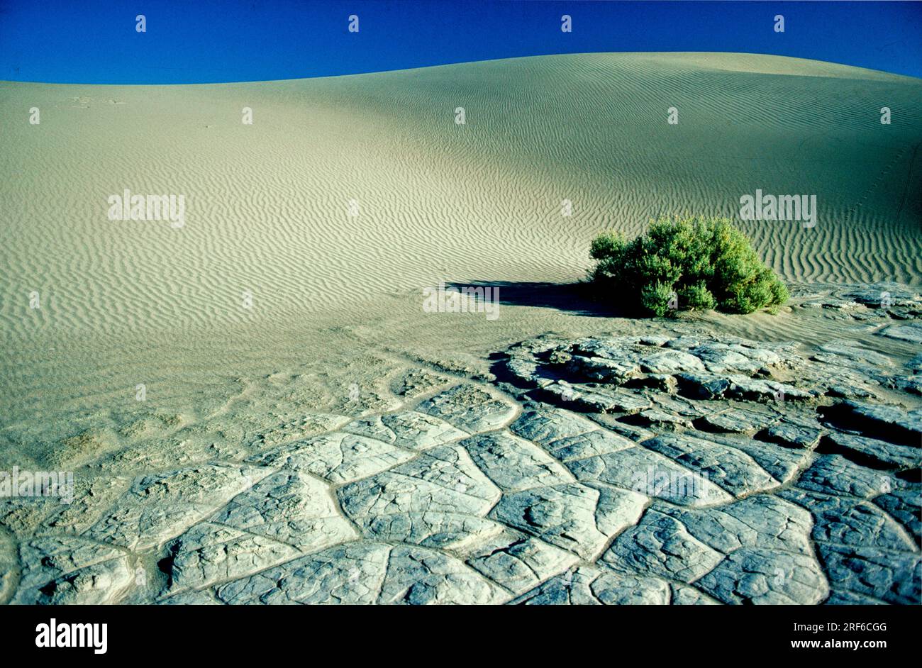 Death Valley National Park, Mojave Desert, Racetrack, California, USA ...