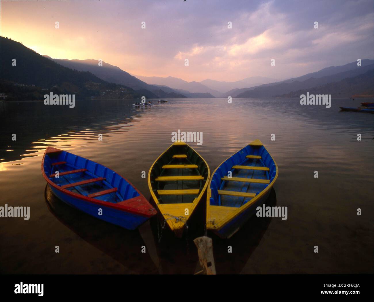 Rowing boats on Lake Phewa, Phewa Valley, Pokhara, Nepal Stock Photo ...