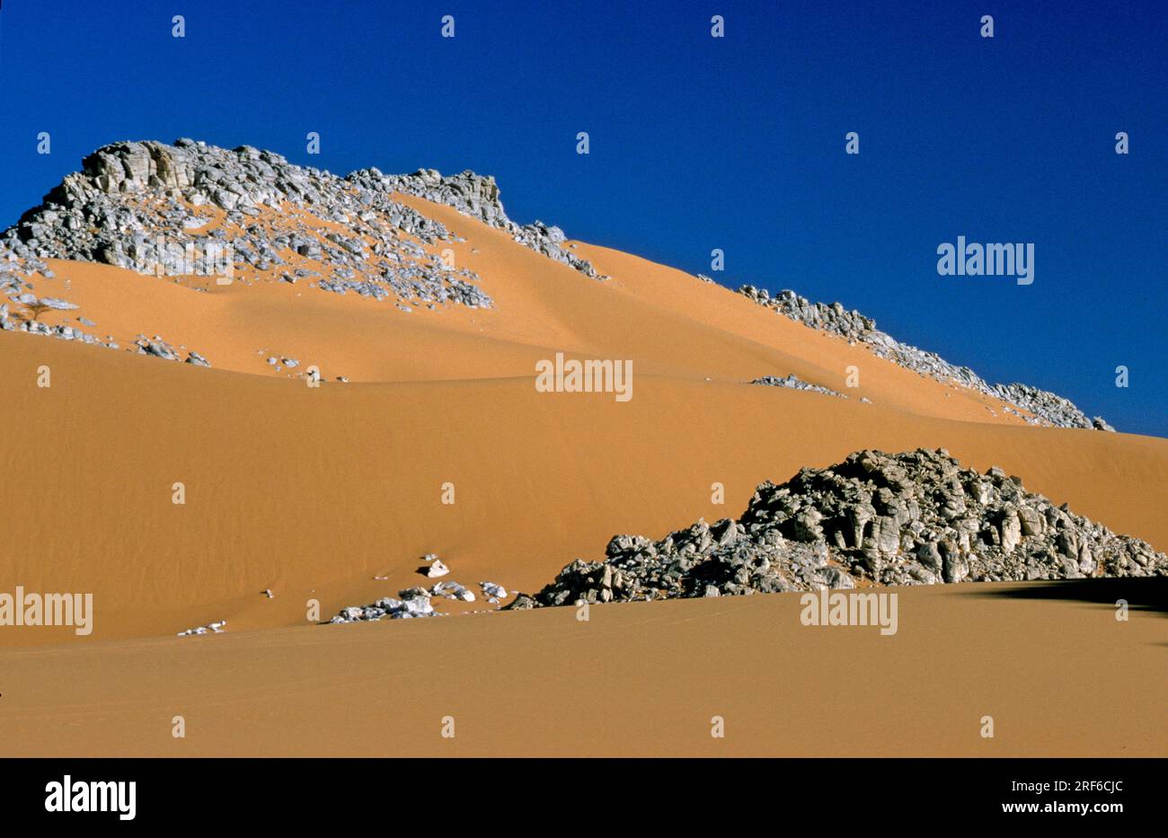 Tenere national nature reserve hi-res stock photography and images - Alamy