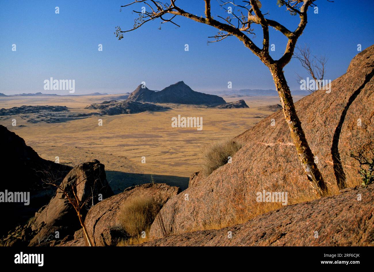 Round stones Moeraki Boulders in the Srand, Oamaru, New Zealand, Round ...