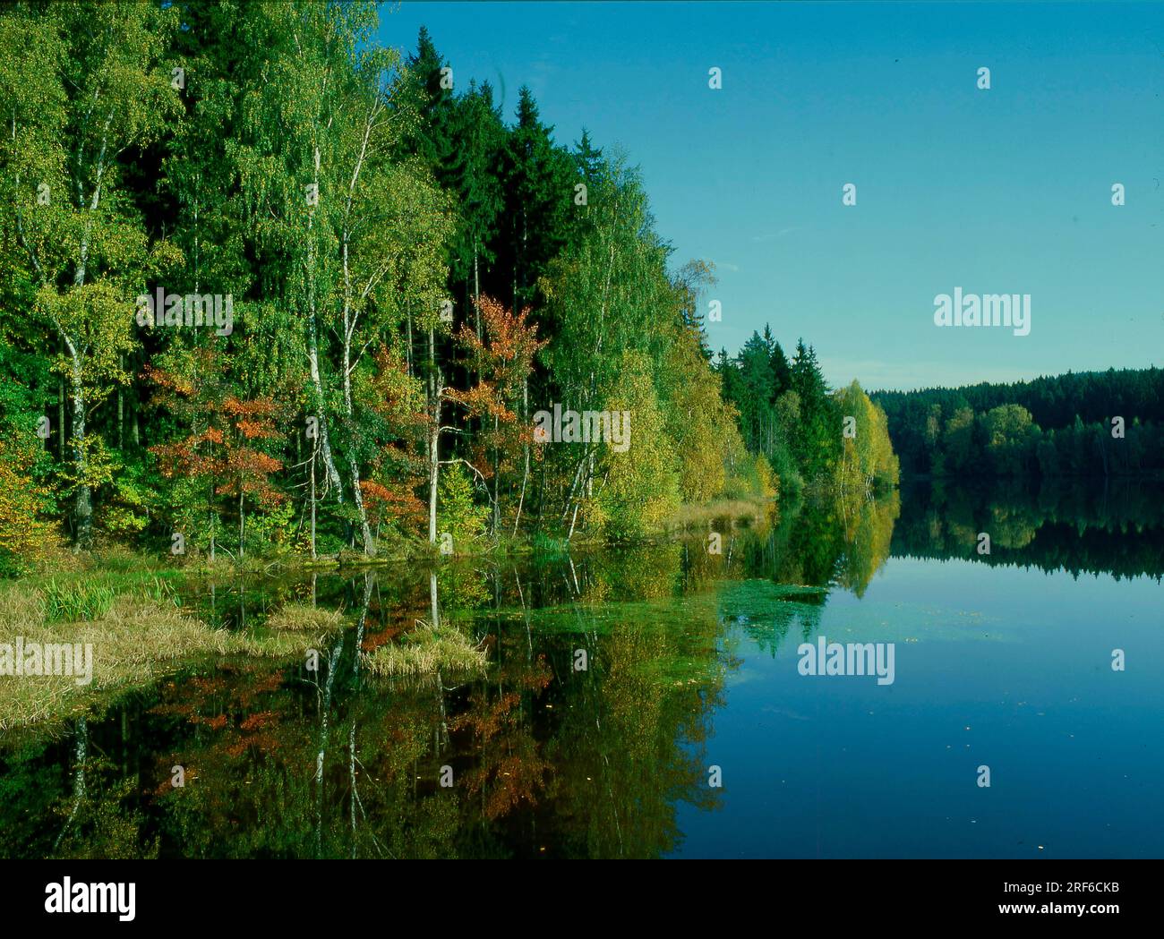 Bergen vogtland hi-res stock photography and images - Alamy