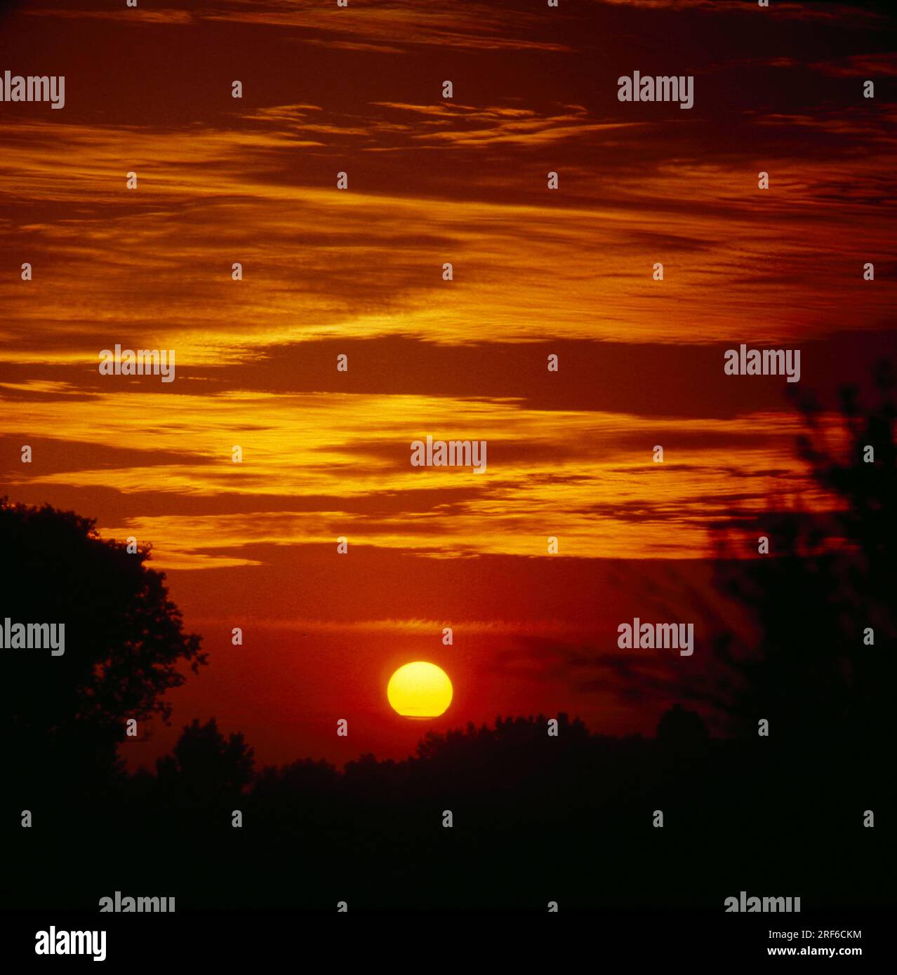 Dim evening light hi-res stock photography and images - Alamy