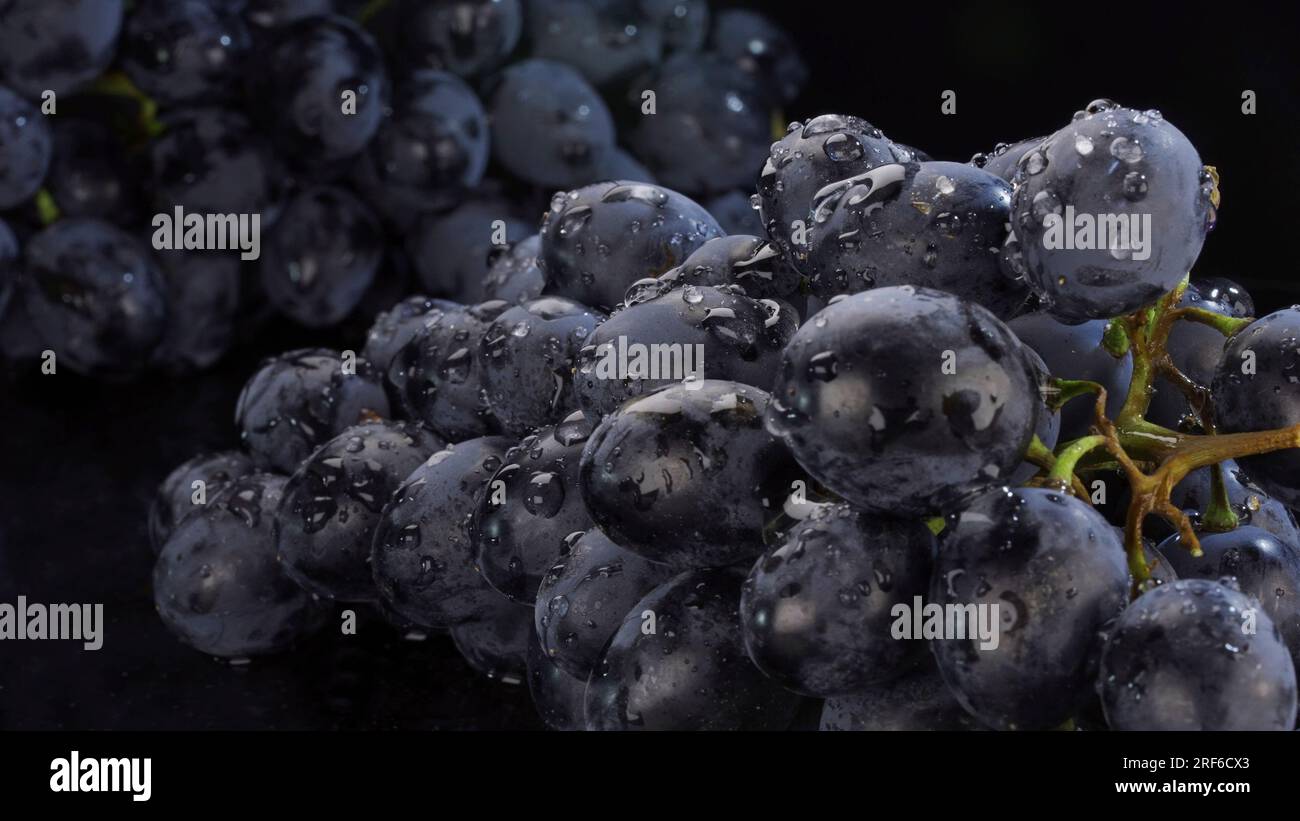 Odessa, Ukraine. 8th June, 2023. Details of fresh dark grapes with ...