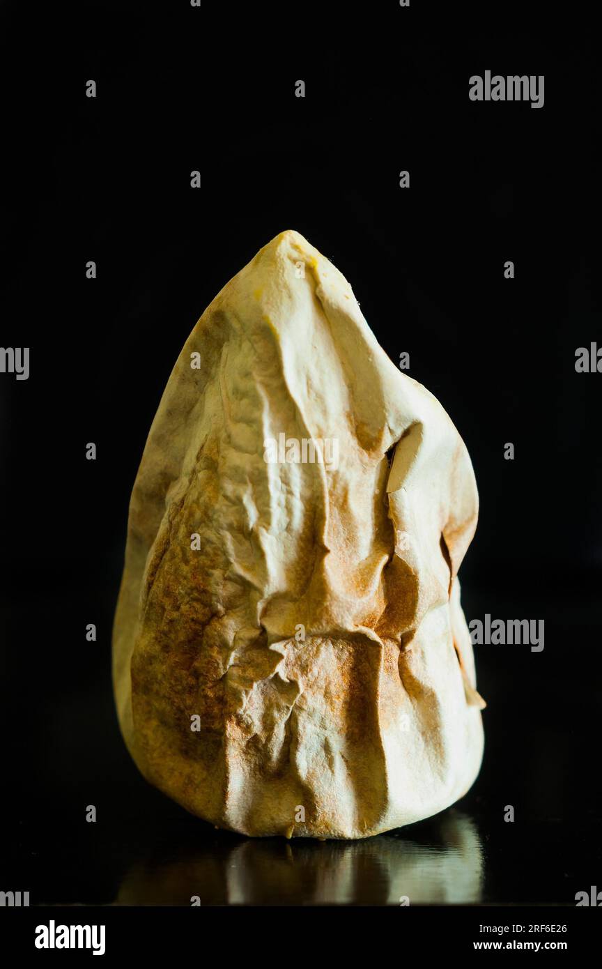 The dry core of an avocado Stock Photo - Alamy