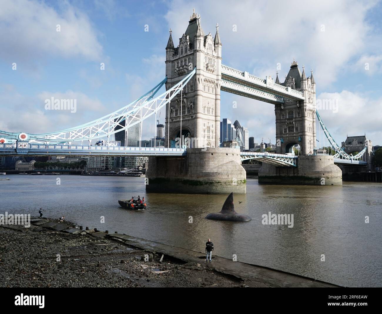 A floating model of a megalodon shark fin is towed by Tower Bridge ...
