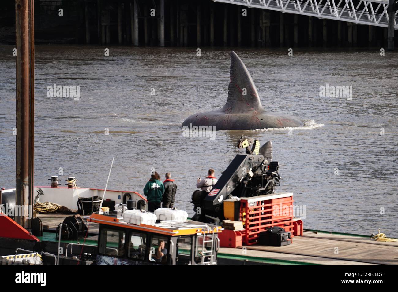 A floating model of a megalodon shark fin by Tower Bridge during a ...