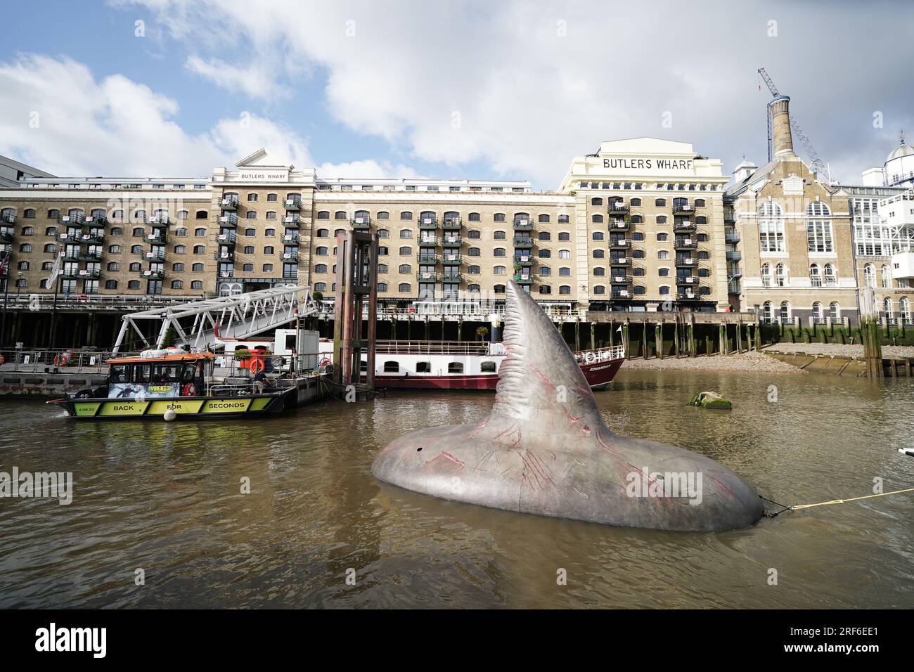 A floating model of a megalodon shark fin is towed to Tower Bridge ...