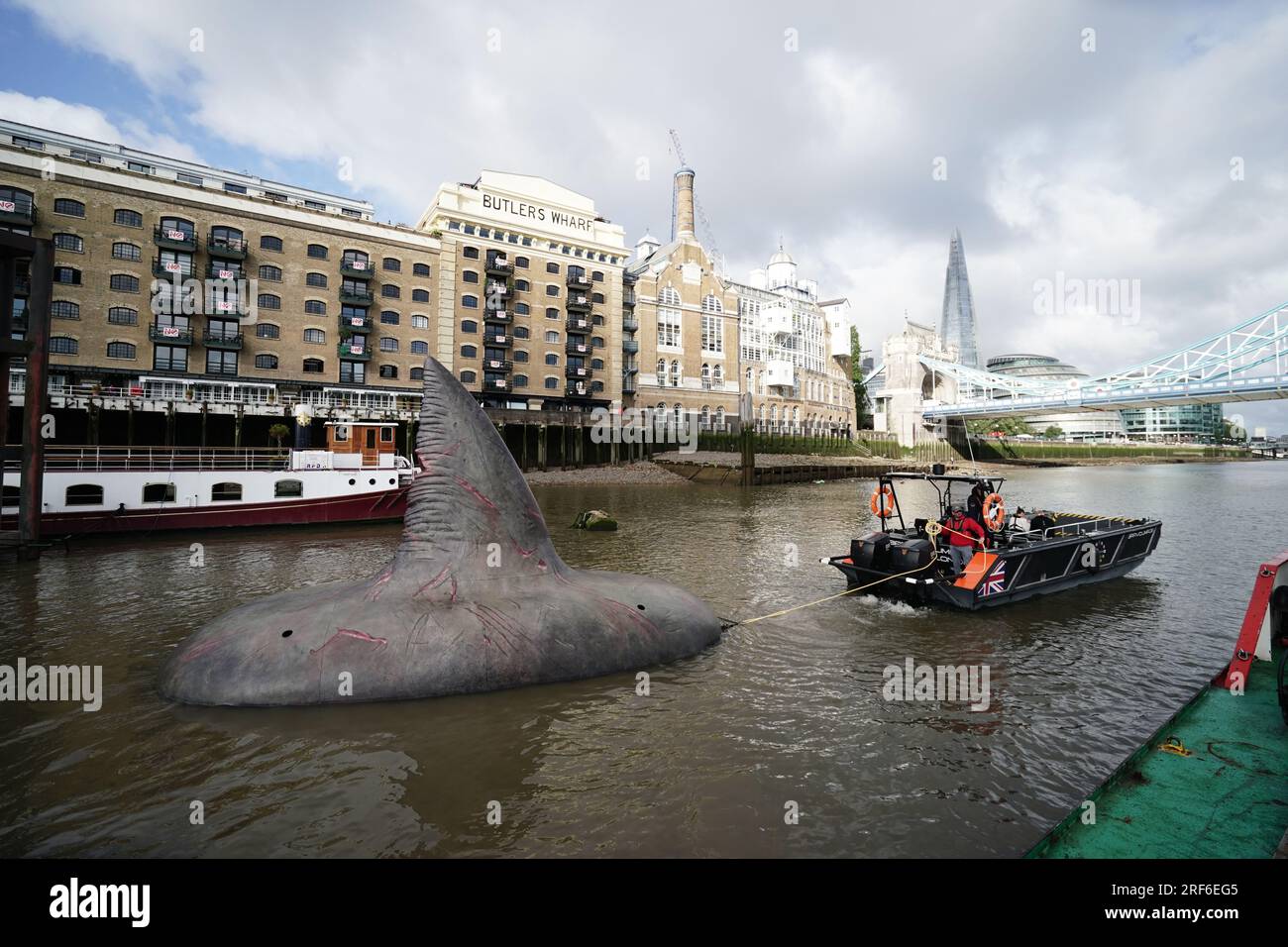 A floating model of a megalodon shark fin is towed to Tower Bridge ...