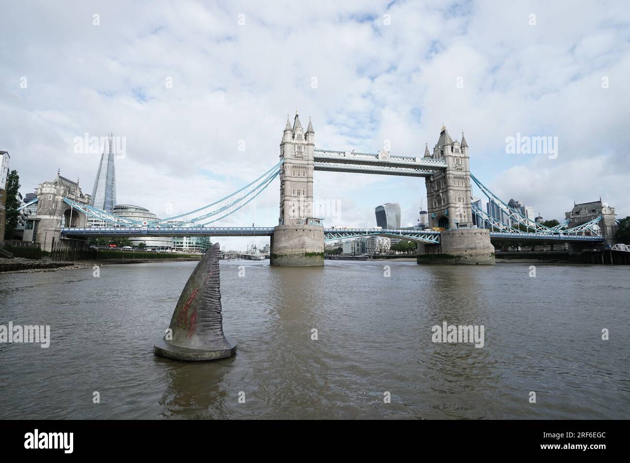 A floating model of a megalodon shark fin by Tower Bridge during a ...