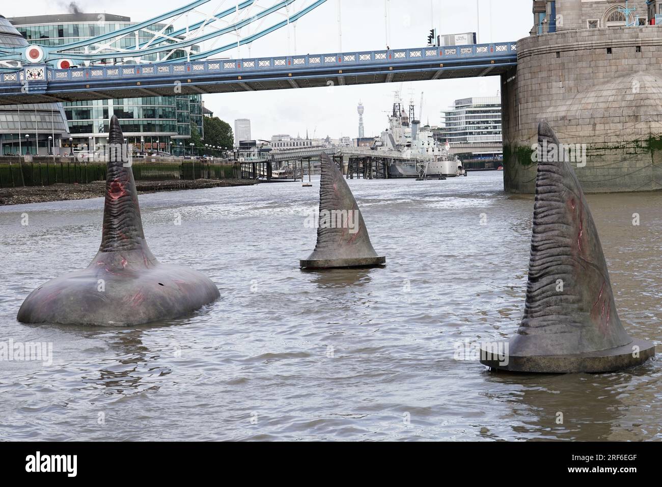 Floating models of megalodon shark fins by Tower Bridge during a ...