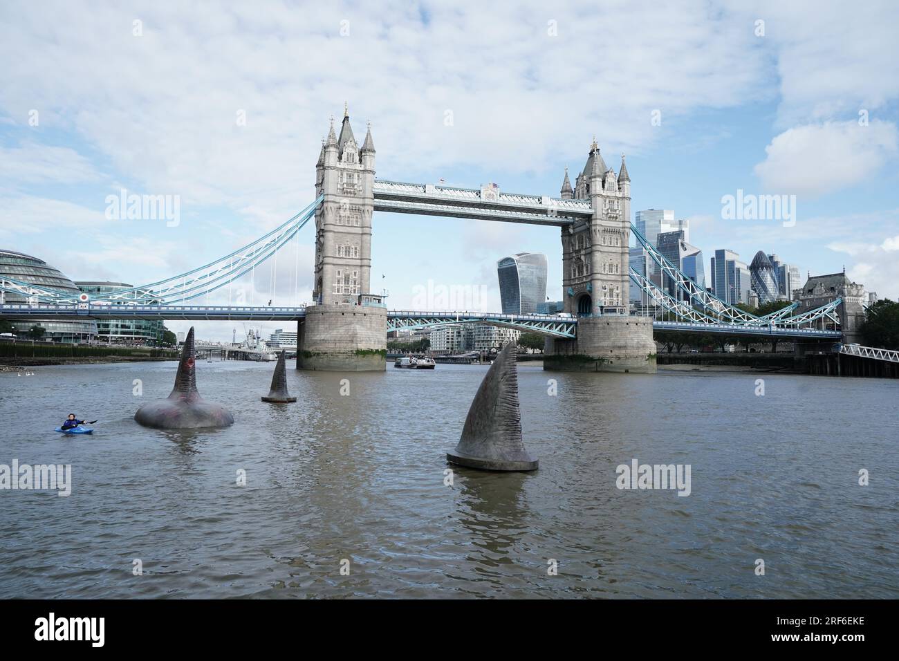 A kayaker passes floating models of megalodon shark fins by Tower ...