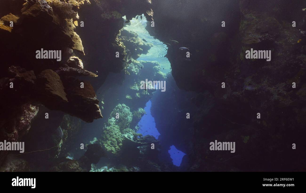 Sunshine penetrate the underwater coral cave and illuminate it ...