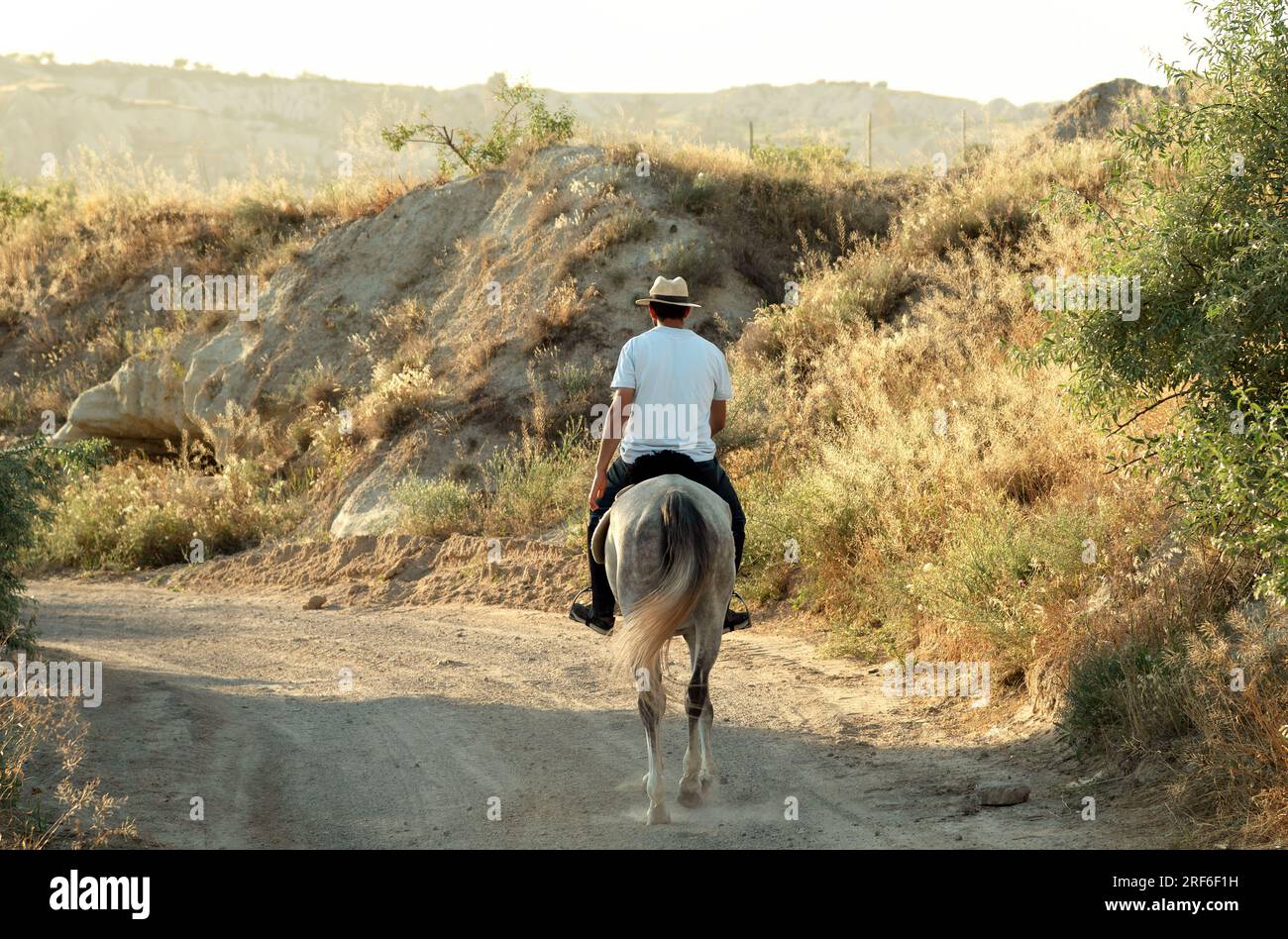 Man riding horse Stock Photo - Alamy