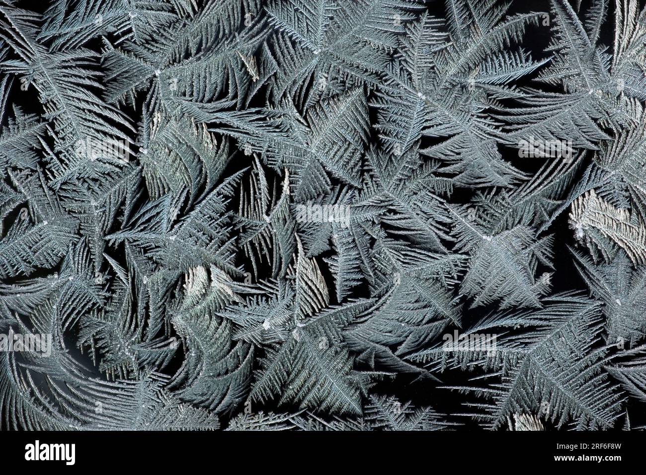 Ice flowers on windows hi-res stock photography and images - Alamy