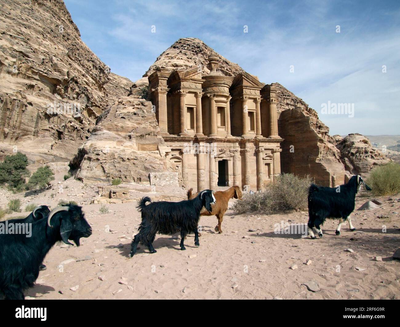 Domestic goats, Ed Deir, Petra, Jordan, Ed-Deir, rock tomb, monastery ...